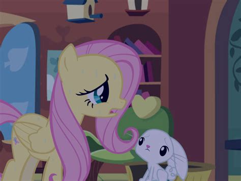 Image result for MLP Transformation