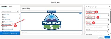 Image result for Salesforce Display