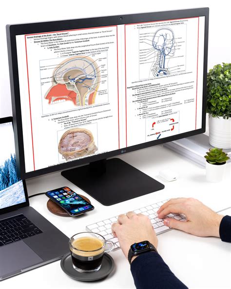 Image result for Doctor Study Notes