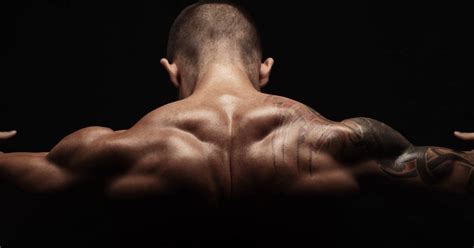 Image result for Building Neck Muscles