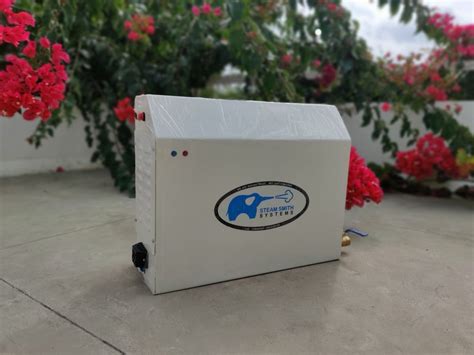 Image result for Spa Steam Machine