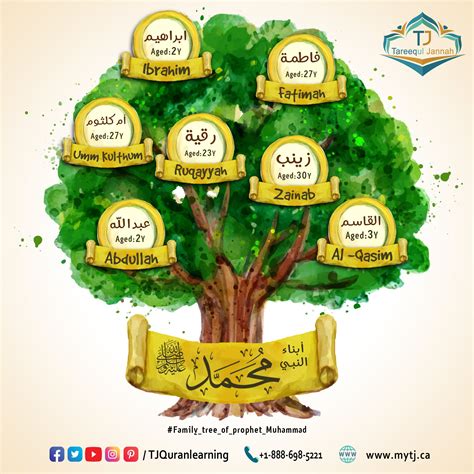 Image result for Muhammad Family Tree