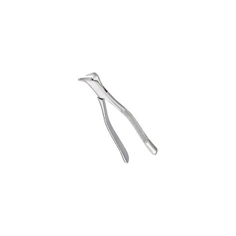 Image result for Extracting Forceps