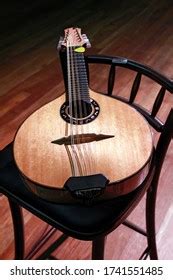 Image result for 10 String Mandolin
