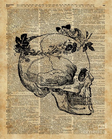 Image result for Dictionary Drawing