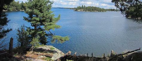 Image result for Salt Spring Island Conservancy