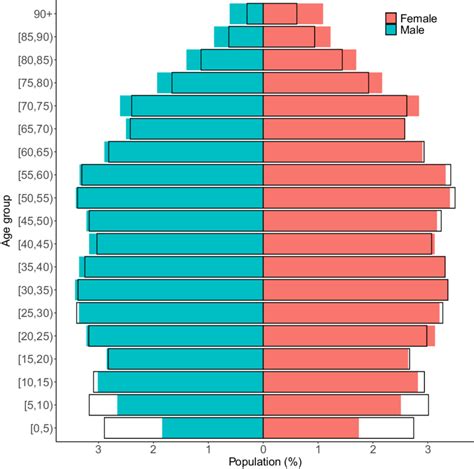 Image result for Population Composition Population Pyramid