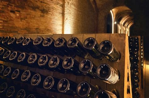 Image result for Wine Production Process