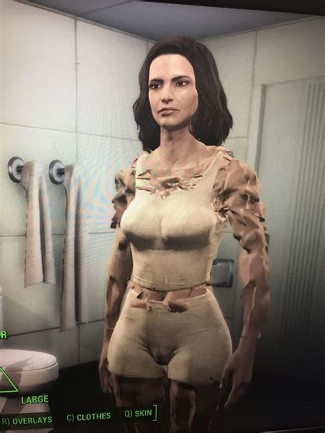 Image result for Fallout 4 CBBE Mod Installation