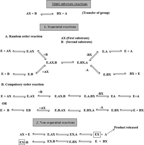 Image result for Substrate Reactions