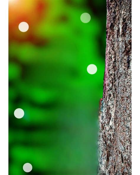 Image result for Background for Editing