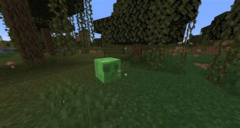 Image result for Minecraft Swamp Path