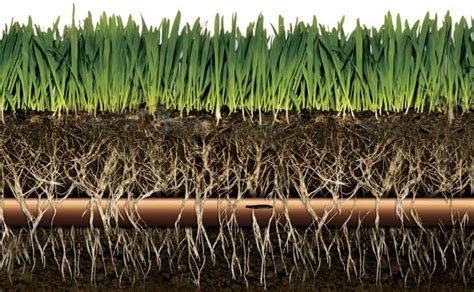 Image result for Irrigation Types