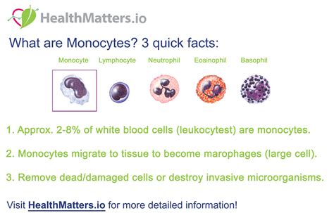 Image result for Monocytes Absolute