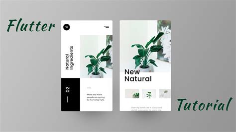 Image result for Flutter Basic Code in Hindi