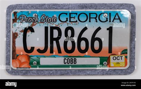Image result for Georgia State License Plate