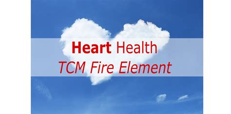 Image result for Heart Protector Channel TCM