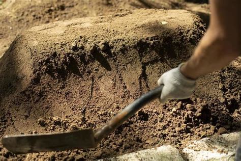 Image result for Earth Digging