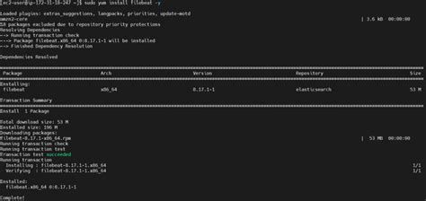 Image result for Elastic How to Install Filebeat Step by Step On Linux
