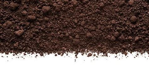 Image result for Humus Soil Cemical Compound