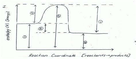 Image result for Exothermic Reaction Energy Graph