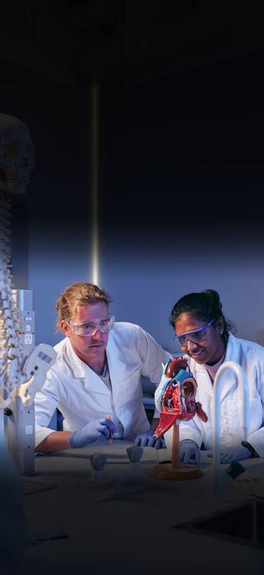 Image result for Study Biomedical Science