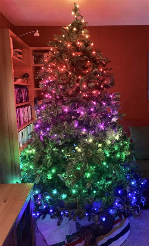 Image result for Color Changing LED Holiday Lights