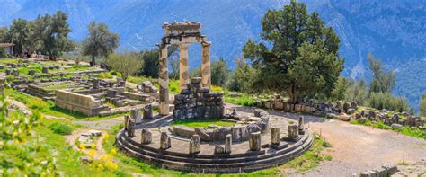 Image result for Delphi Tree Pic