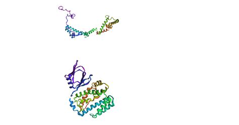 Image result for Machine Learning Protein Folding