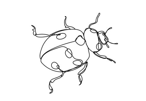 Image result for Ladybug Line Drawing