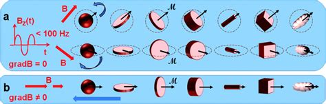 Image result for Multi-Directional Magnetic Particle