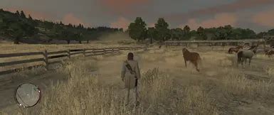 Image result for RDR1 Graphics Mod