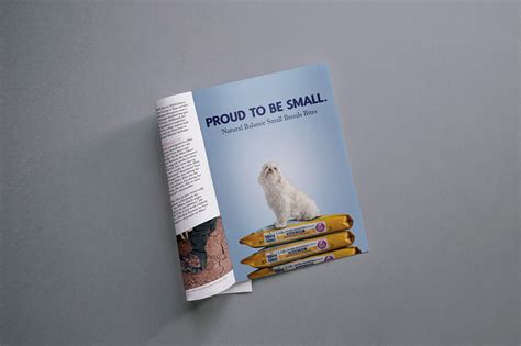 Image result for Advertisment Using Balance Elements