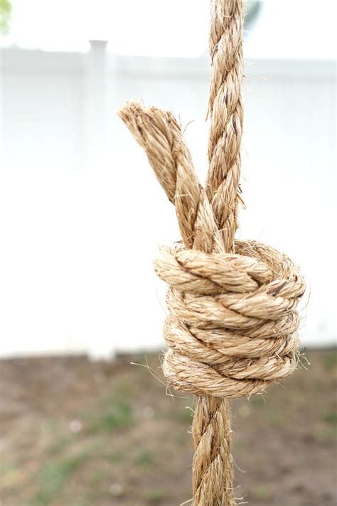 Image result for How to Build a Tree Swing