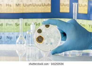 Image result for Mold Air Sampling Plating