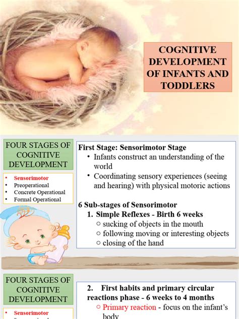 Image result for Cognitive Development