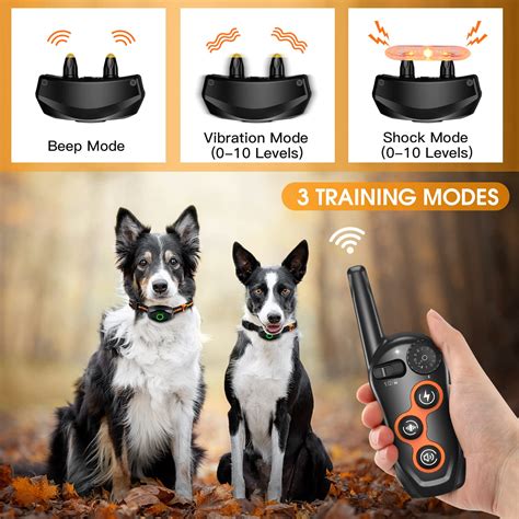 Image result for Best Training Collars for Dogs