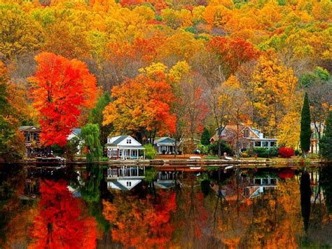 Image result for Fall Scenery Desktop