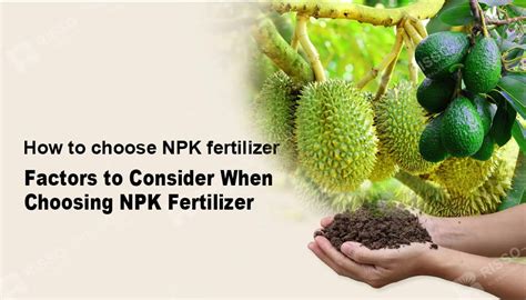 Image result for NPK Explained
