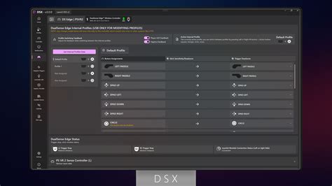 Image result for DSX Software