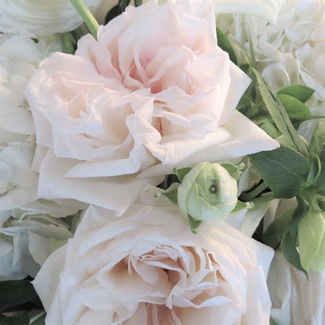 Image result for Traditional Flower Tutorial