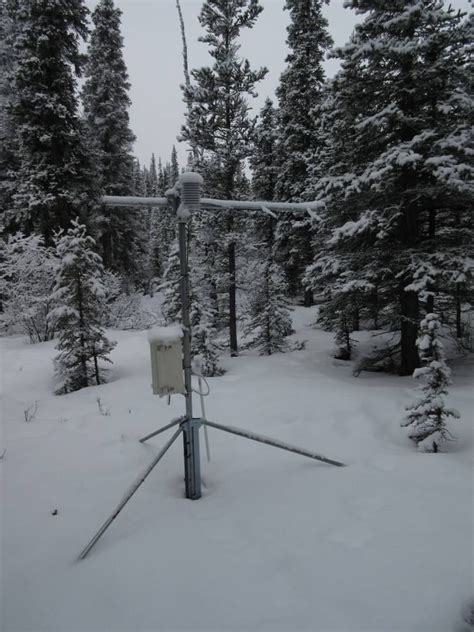 Image result for Snow Sampling