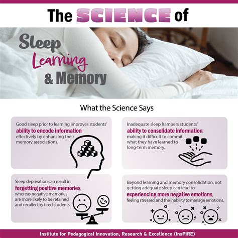 Image result for Memory and Learning Sleep