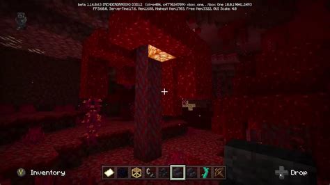 Image result for Nether Update Song