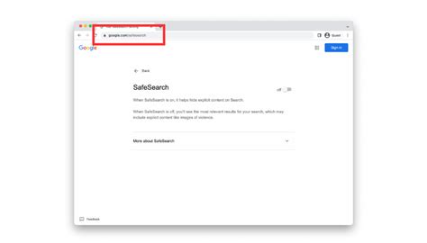 Image result for Turn Off Adult Filtering Inchrome