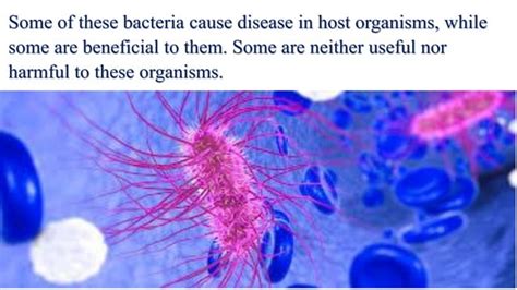 Image result for Science Class of Classification Examples
