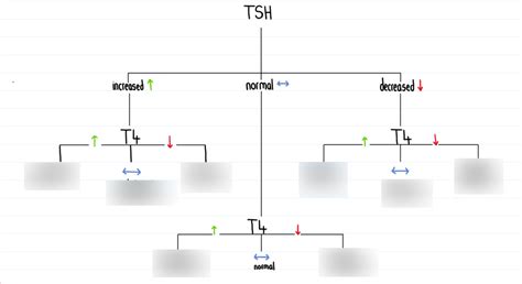 Image result for TFT Algorithm
