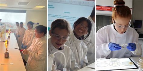 Image result for Biomedical Science Modules