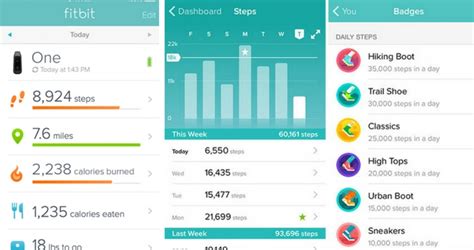 Image result for Fitbit One Software