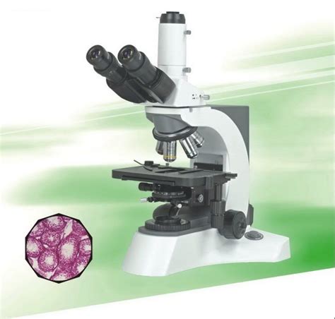 Image result for Biological Microscope